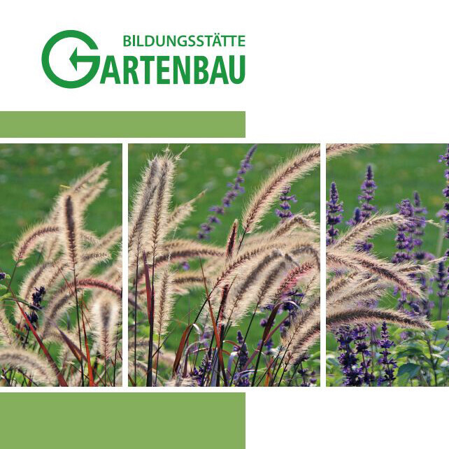 Neues Logo, neues Jahresprogramm - DEGA GRÜNER MARKT