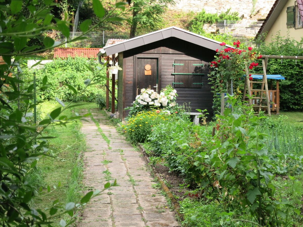 Was ist die Kleingarten-Hauptstadt Deutschlands? - DEGA GRÜNER MARKT